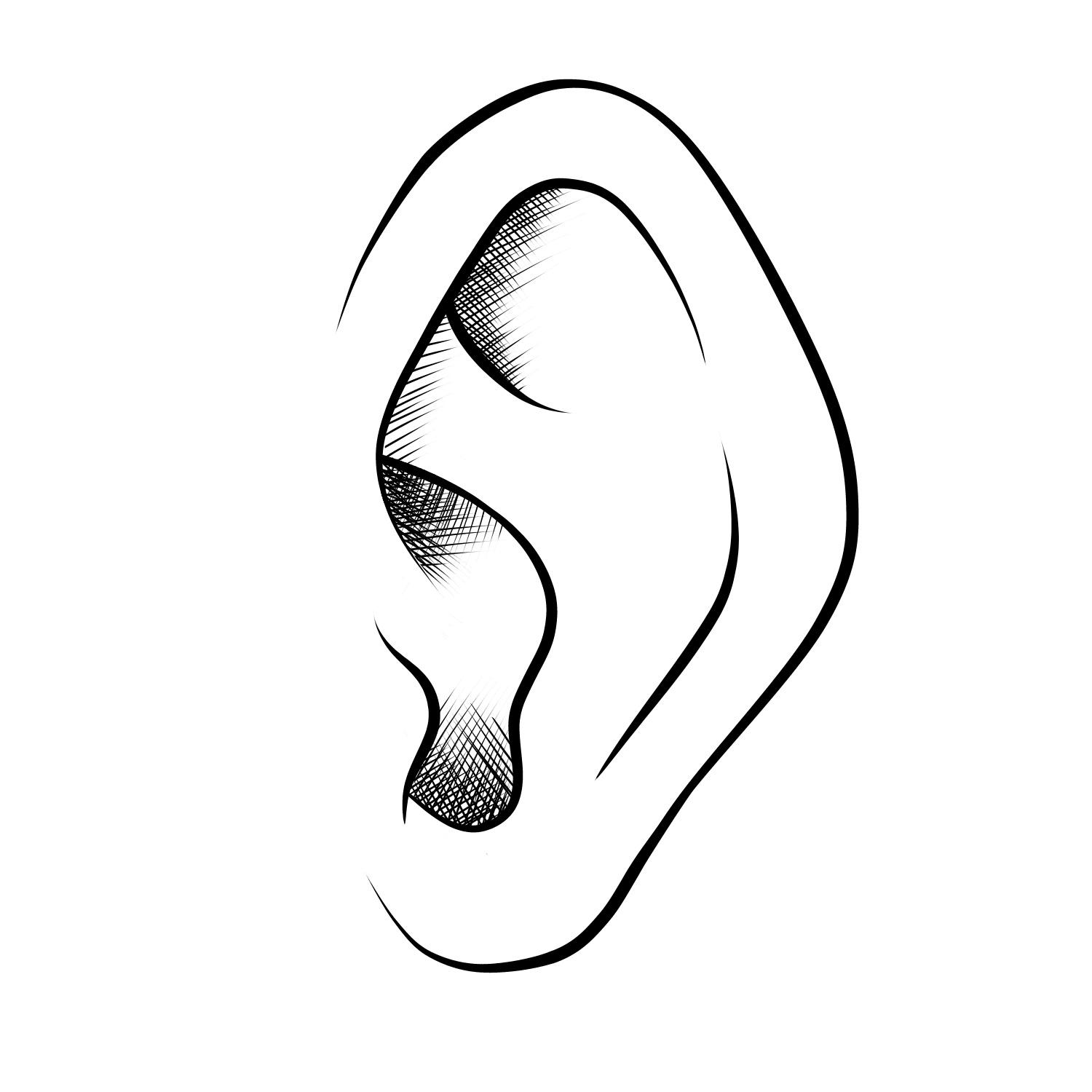 Dibujando orejas Parte 1 (manga) | Ilustraideas